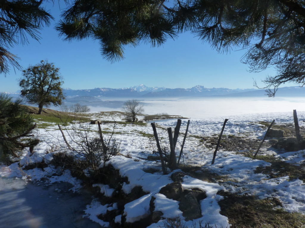Rando pédestre: La Montagne des Princes - Club Alpin Français de Meythet